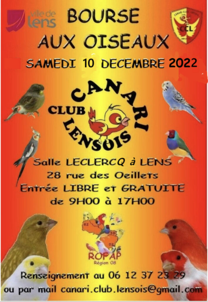 Du nouveau chez les Compétiteurs – Région Ornithologique Flandres ...